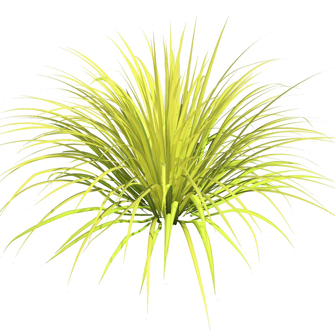 3D Banana Boat Sedge 3d Model - TurboSquid 2163731