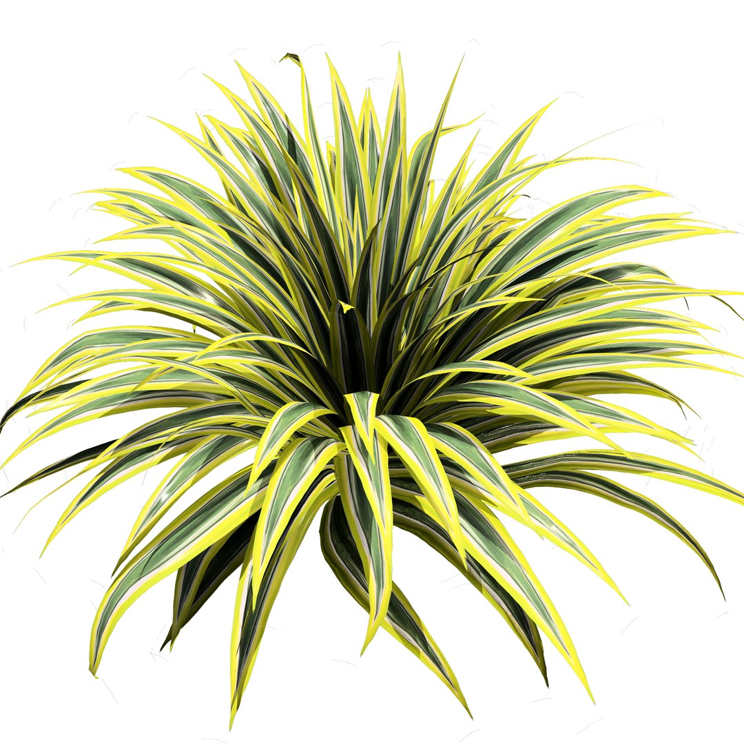 3D Banana Boat Sedge 3d Model - TurboSquid 2163731