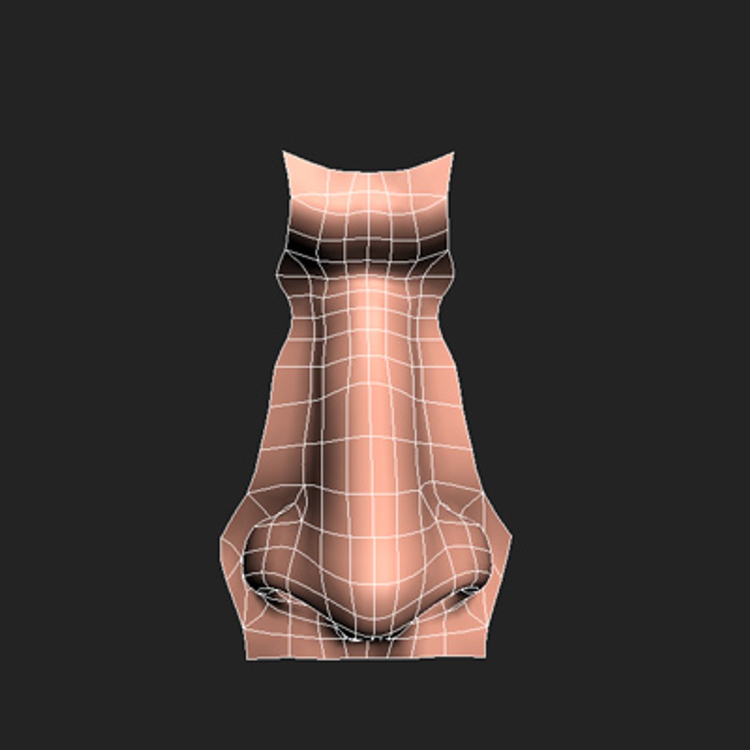 Nose Human 3d Model
