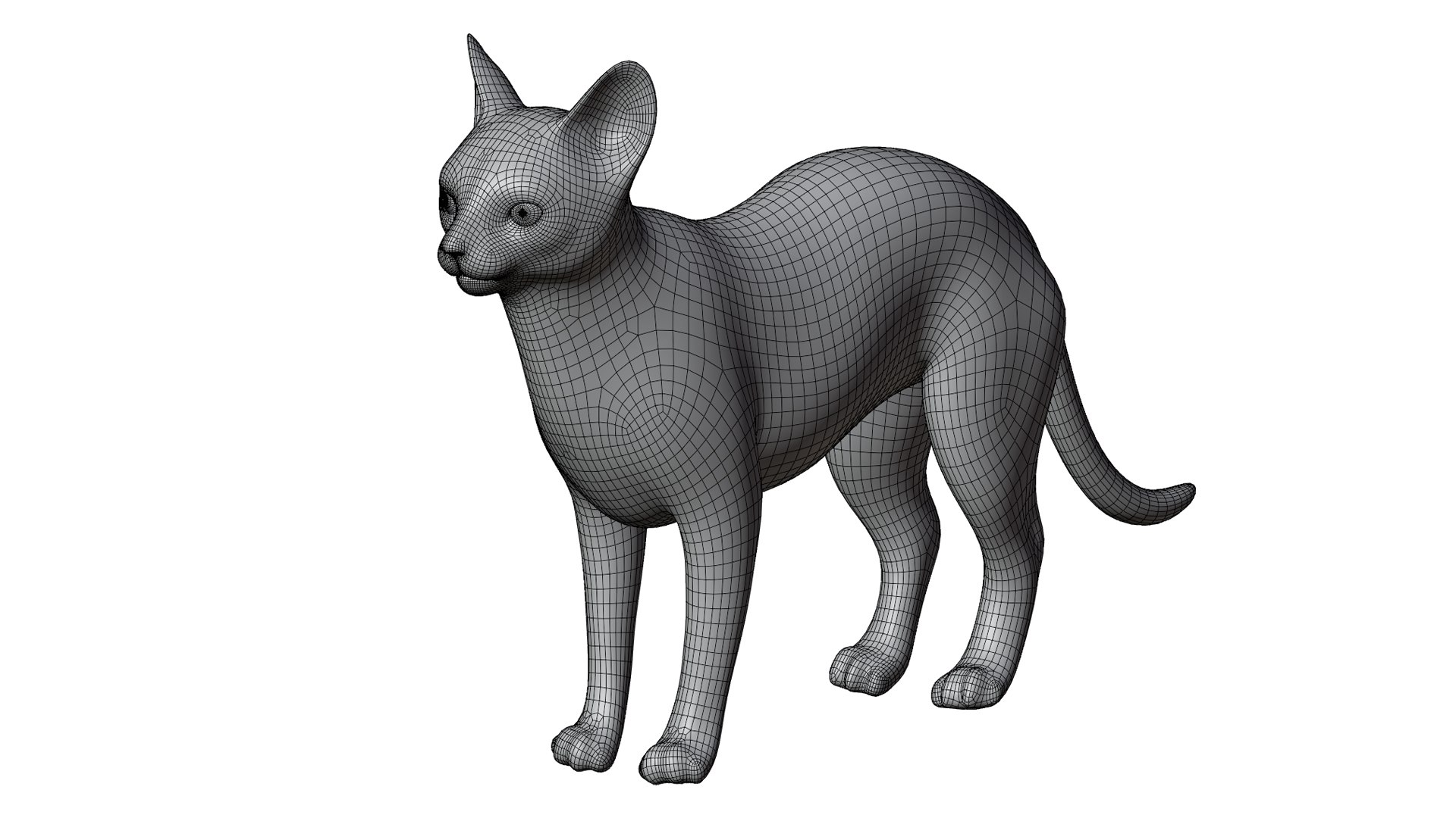 3D Cat - TurboSquid 2207587