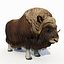 Musk Ox 3D Models for Download | TurboSquid