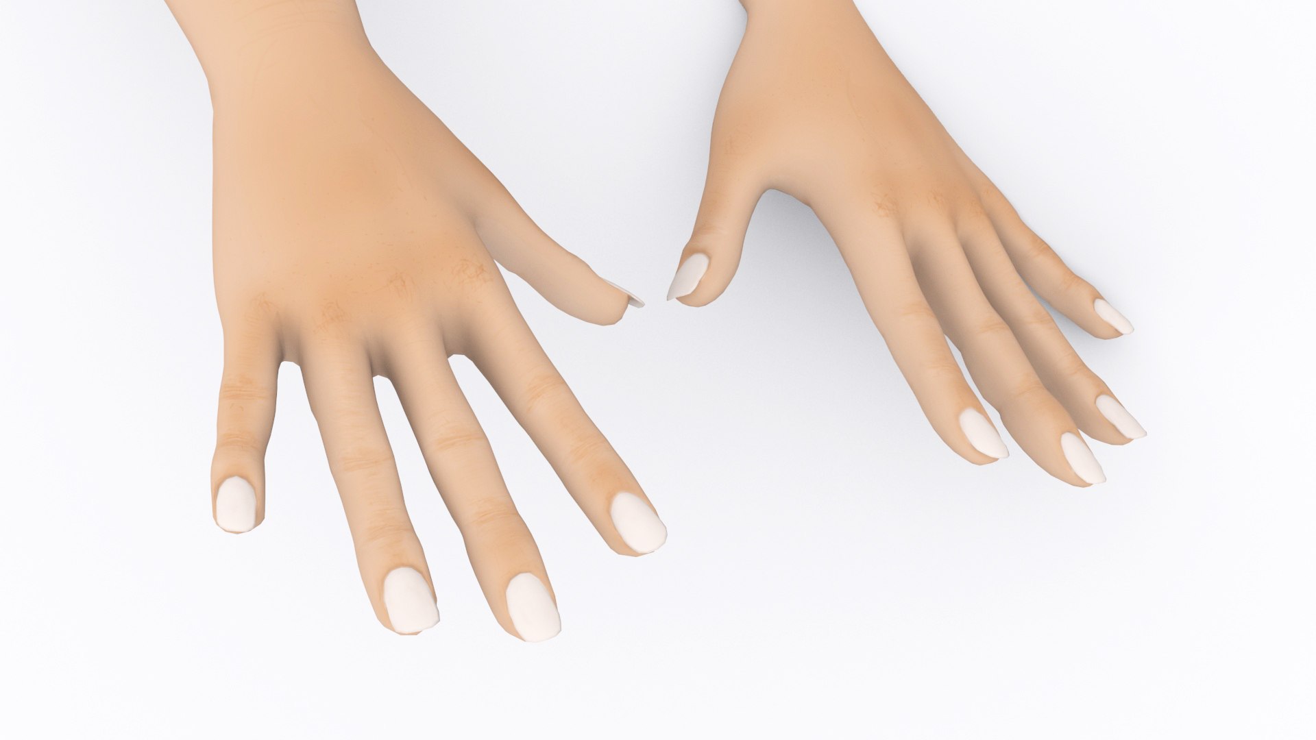 3D Human Hand Model - TurboSquid 1621346