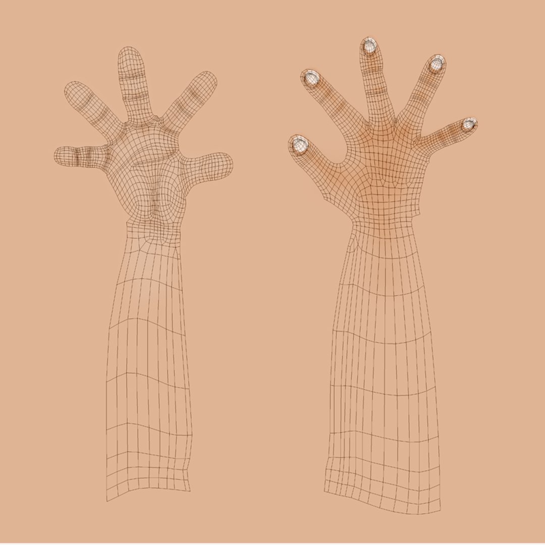 3D Human Hand Model - TurboSquid 1621346