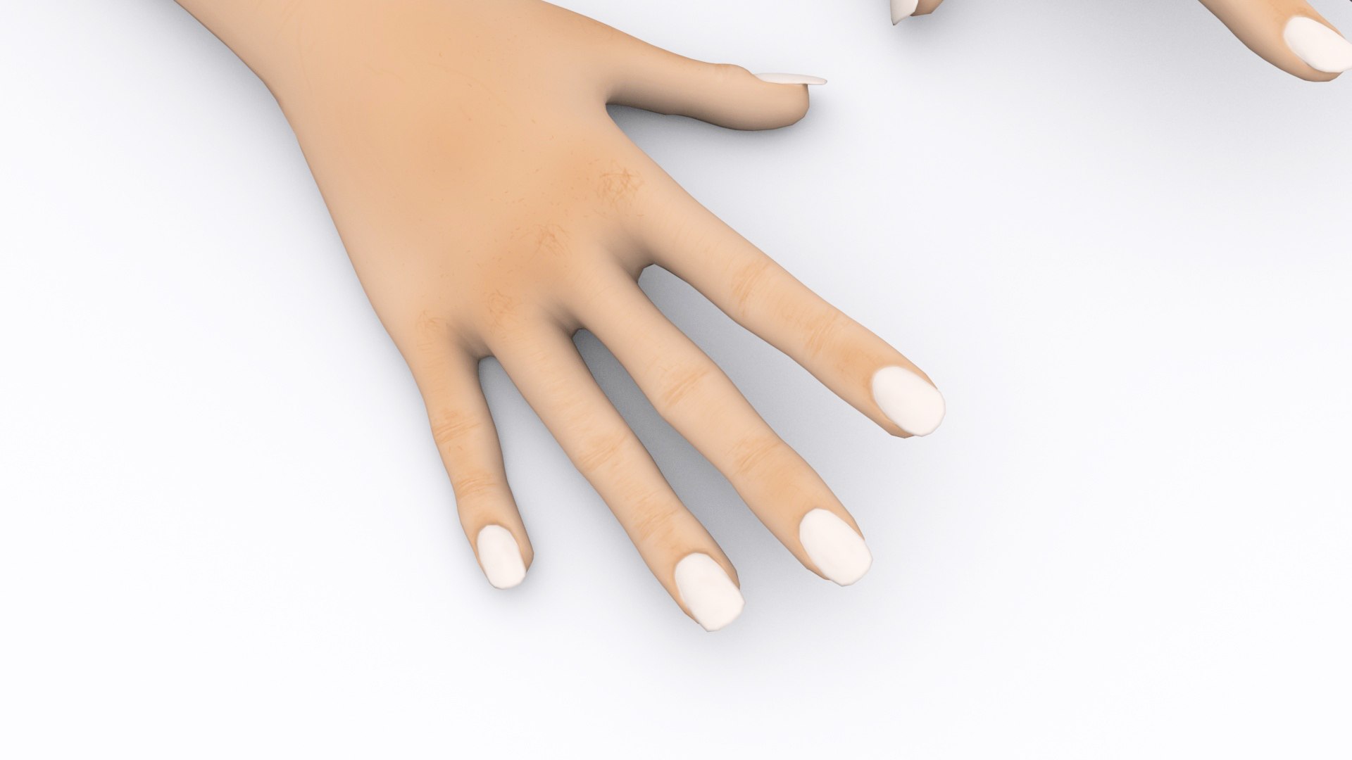 3D Human Hand Model - TurboSquid 1621346