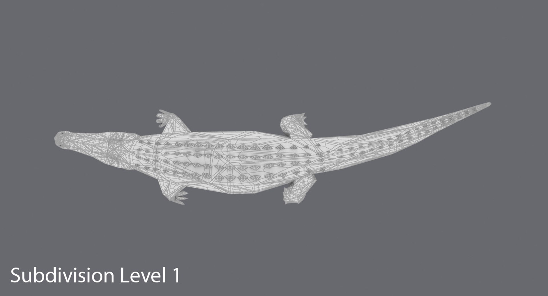 Alligator---swimming Model - TurboSquid 1237995