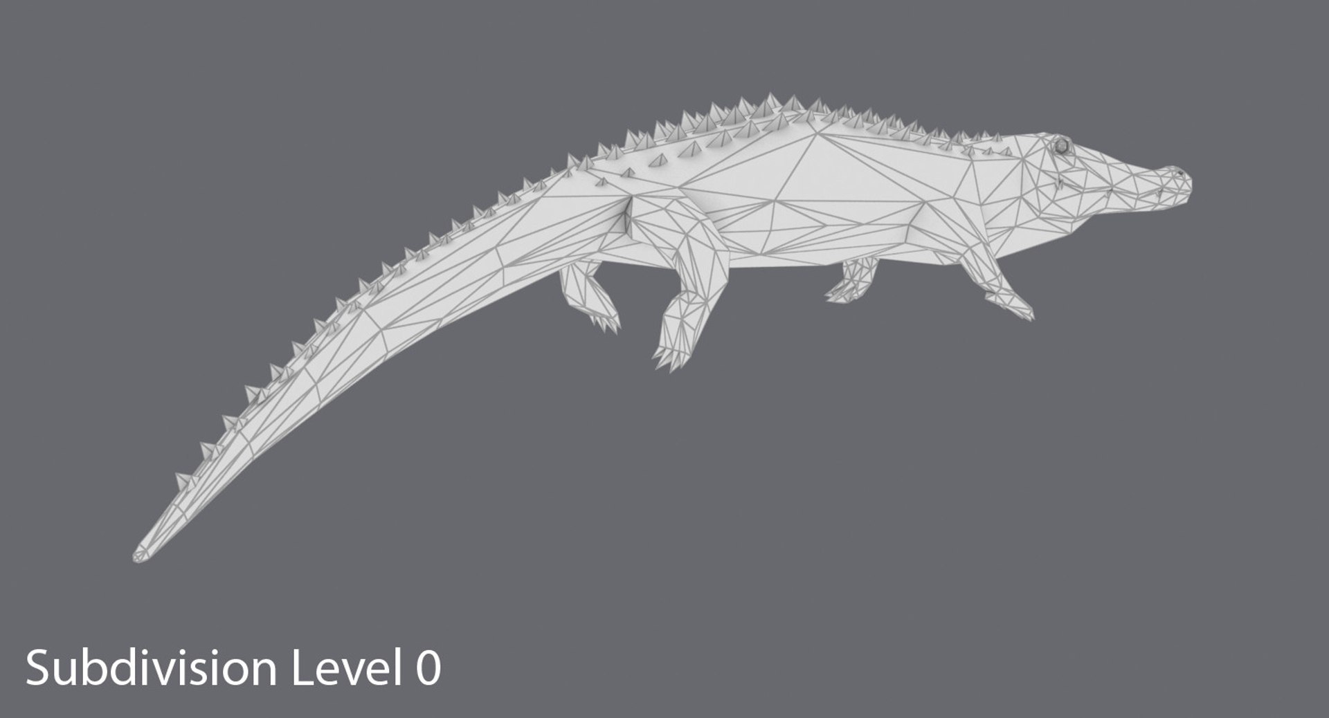 Alligator---swimming Model - TurboSquid 1237995
