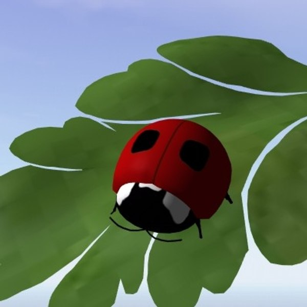 Ladybug 3D Models for Download | TurboSquid