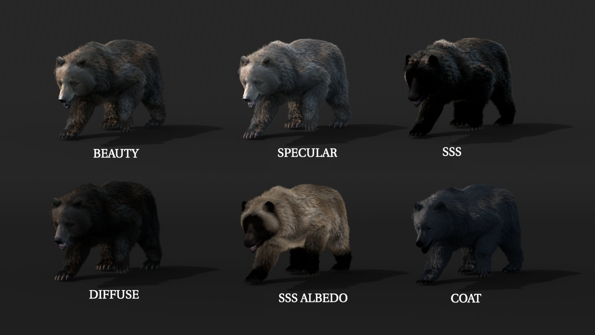 3D Bear Standard Pack Rig Character Model - TurboSquid 1354786