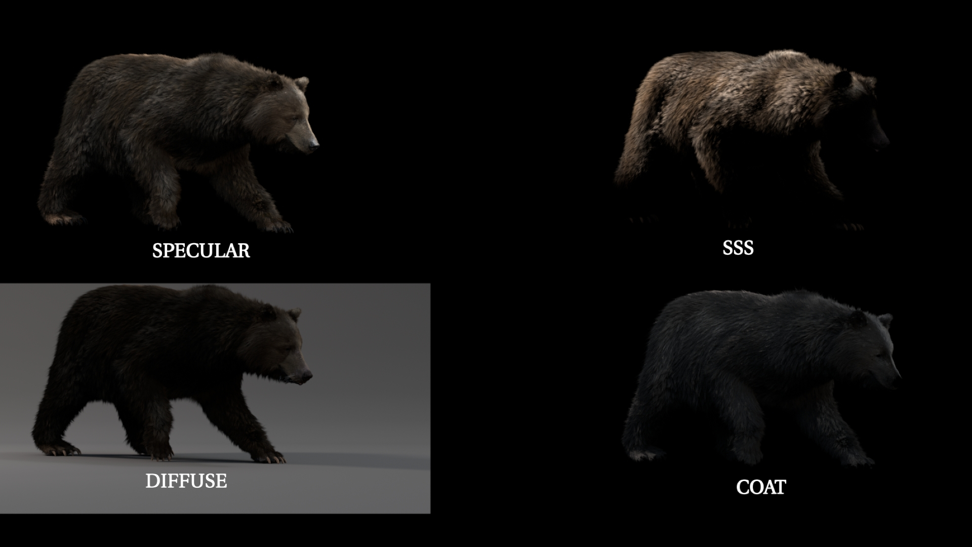 3D Bear Standard Pack Rig Character Model - TurboSquid 1354786