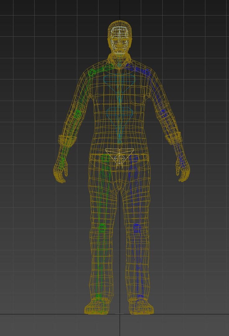 3d Model Rigging Character