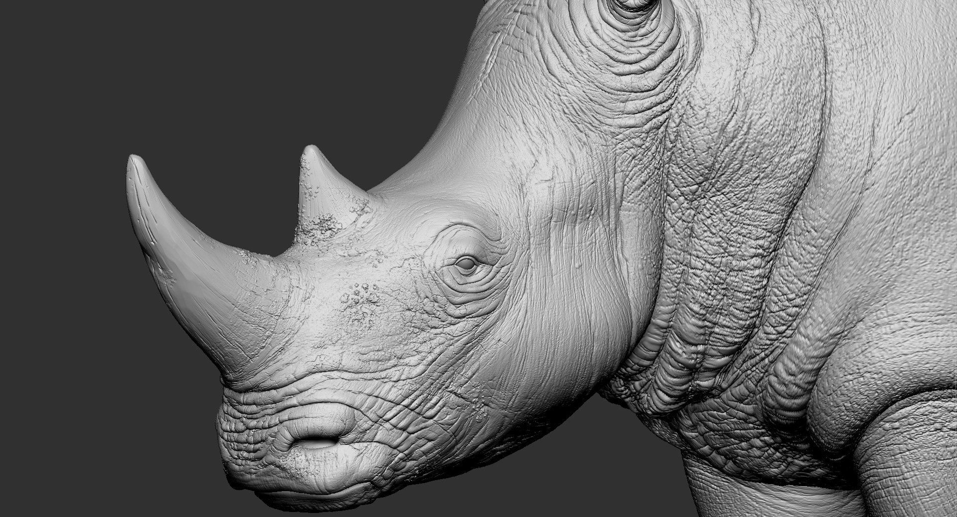 3d model rhino rigged