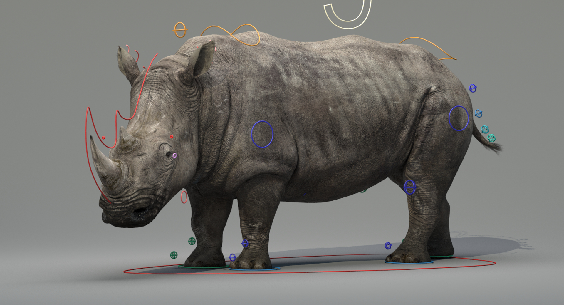 3d model rhino rigged