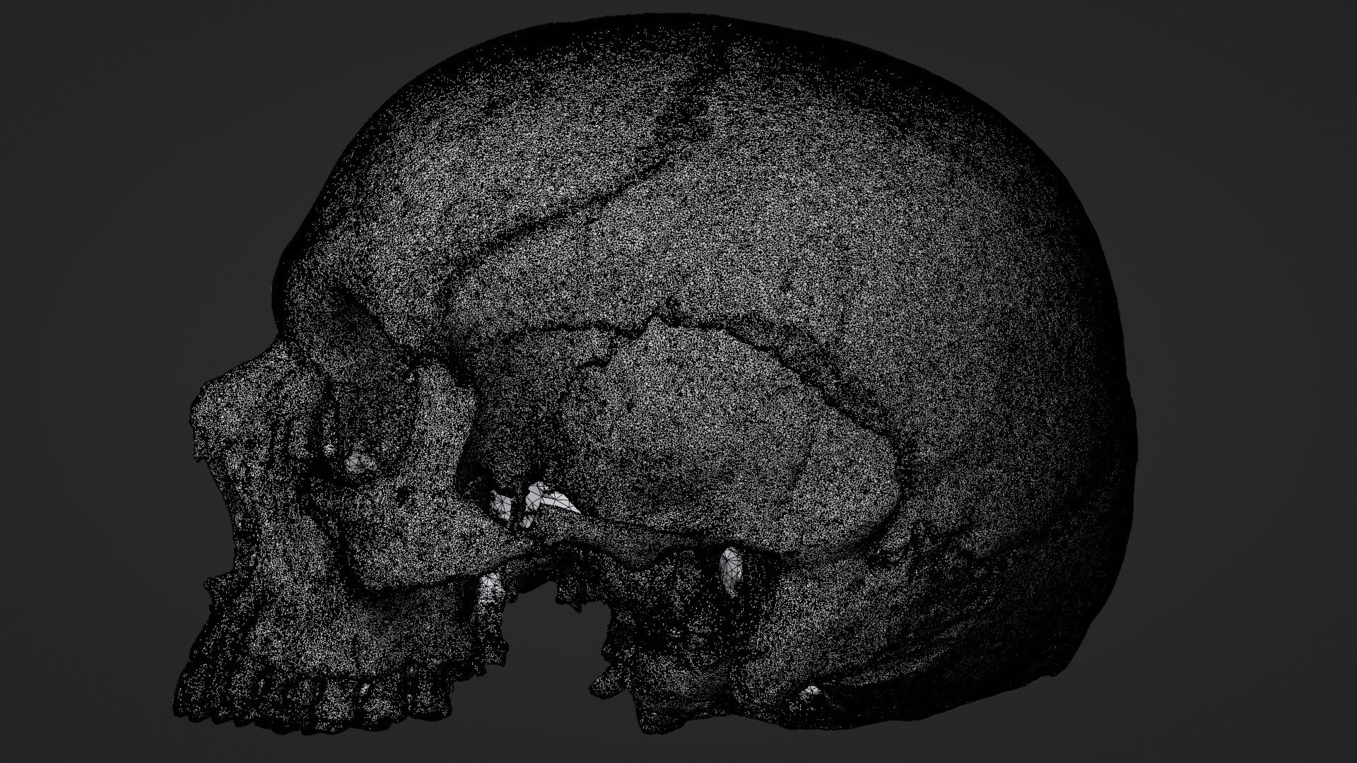 3D Real Ancient Human Skull Scan - TurboSquid 1990076
