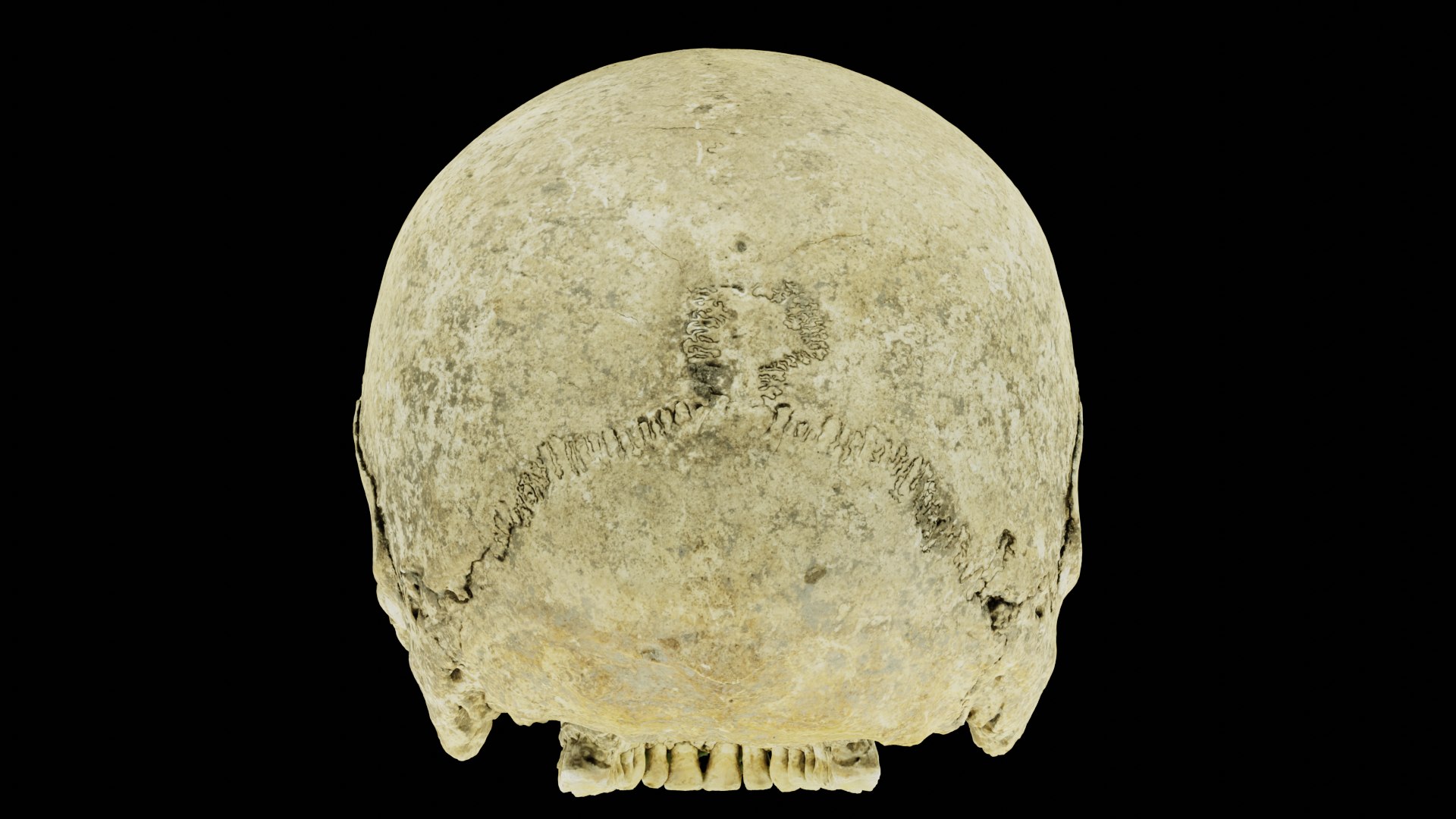3D Real Ancient Human Skull Scan - TurboSquid 1990076