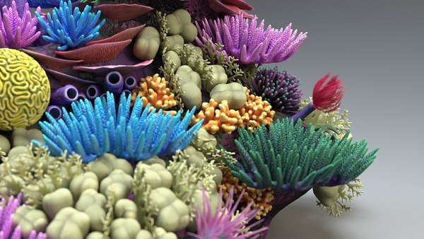 3D coral reef 02 - TurboSquid 1486310