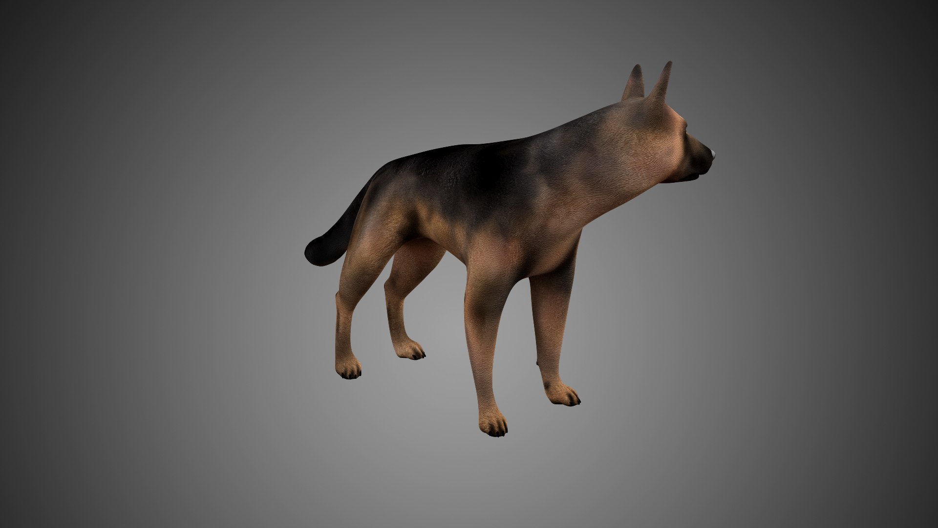 German Shepherd 3D Model - TurboSquid 1580441