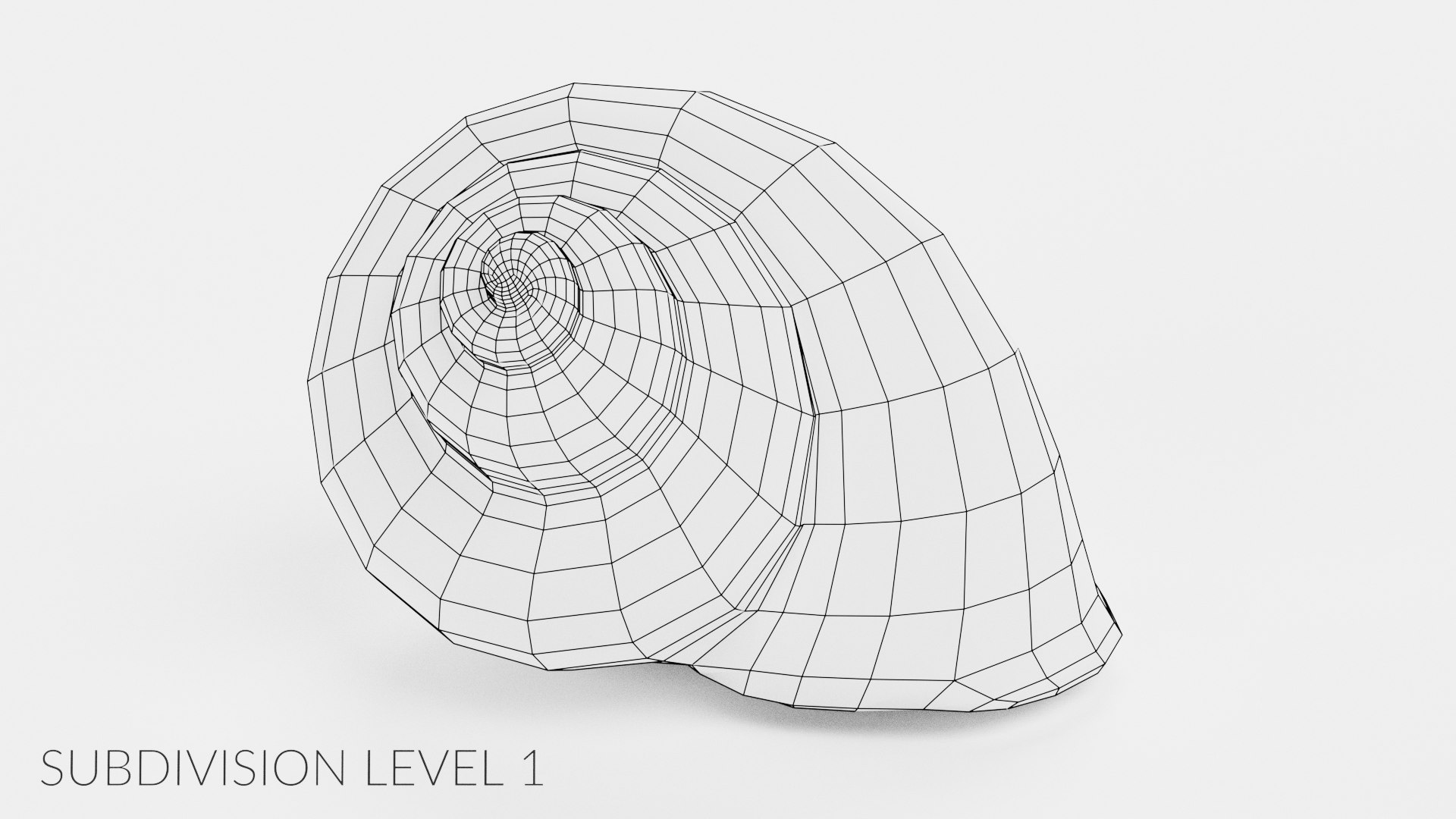 3D Snail Shell - TurboSquid 1496274