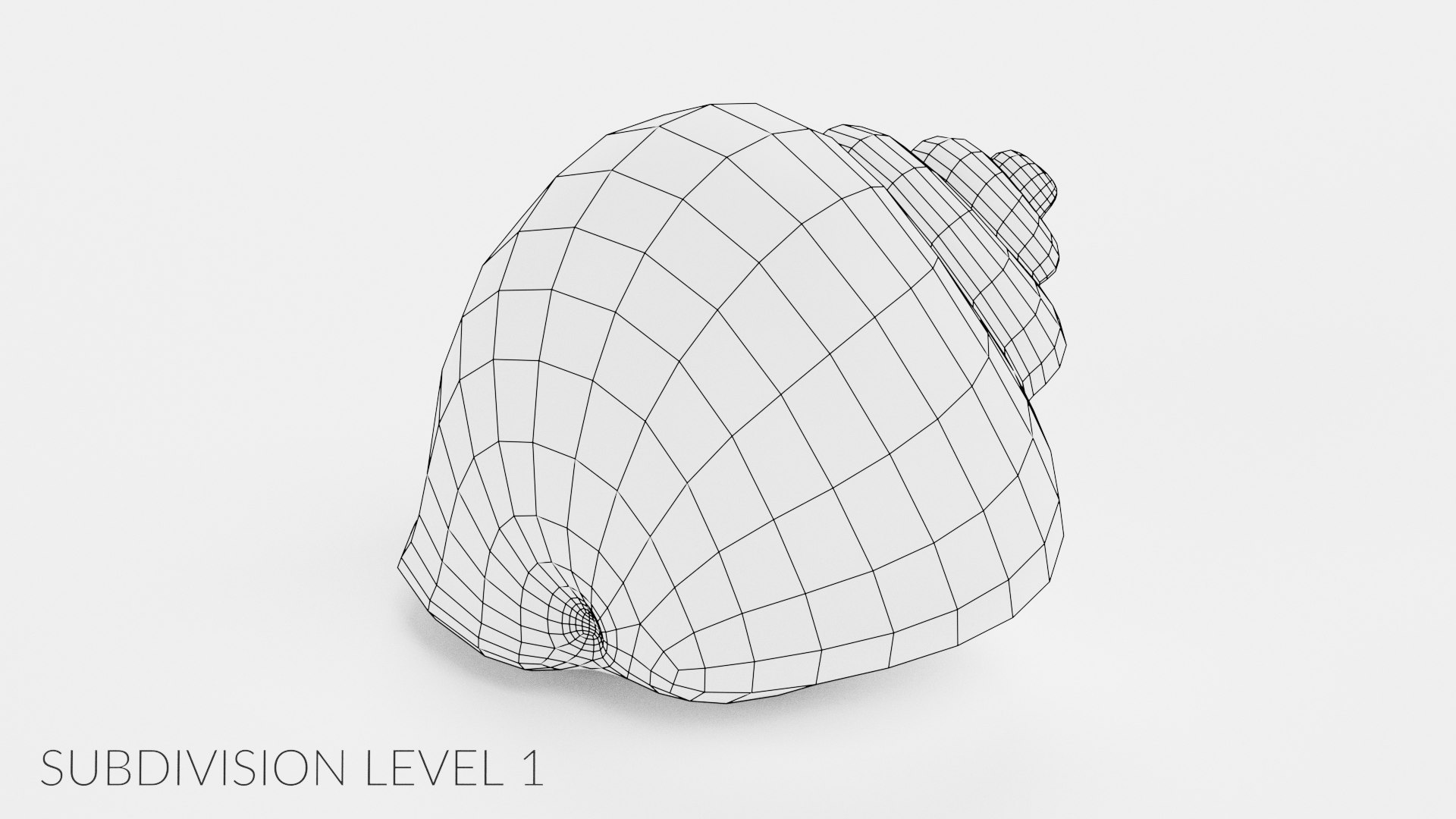 3D Snail Shell - TurboSquid 1496274