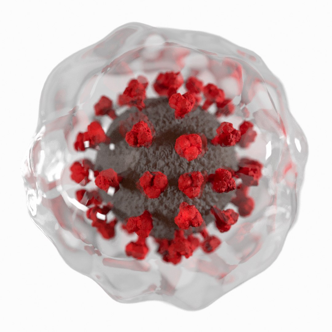 3D coronavirus enveloped virus model - TurboSquid 1541566