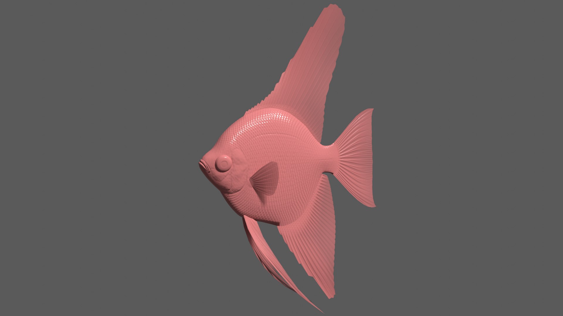 Angel Fish Swimming 3d 3ds