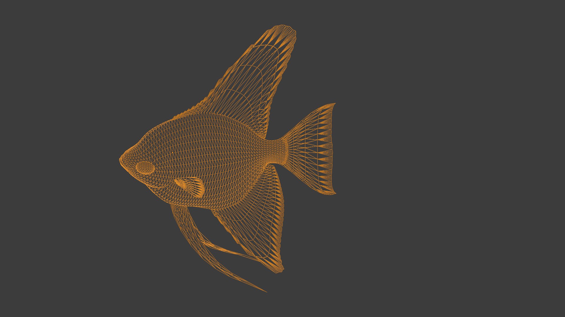 Angel Fish Swimming 3d 3ds