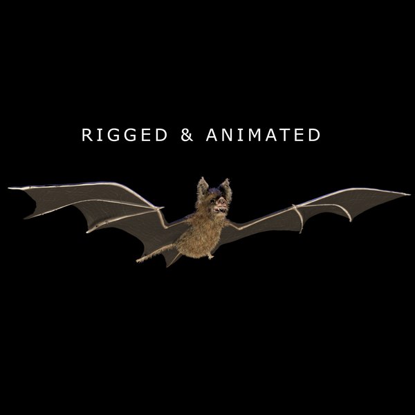 Bat 3D Models for Download | TurboSquid