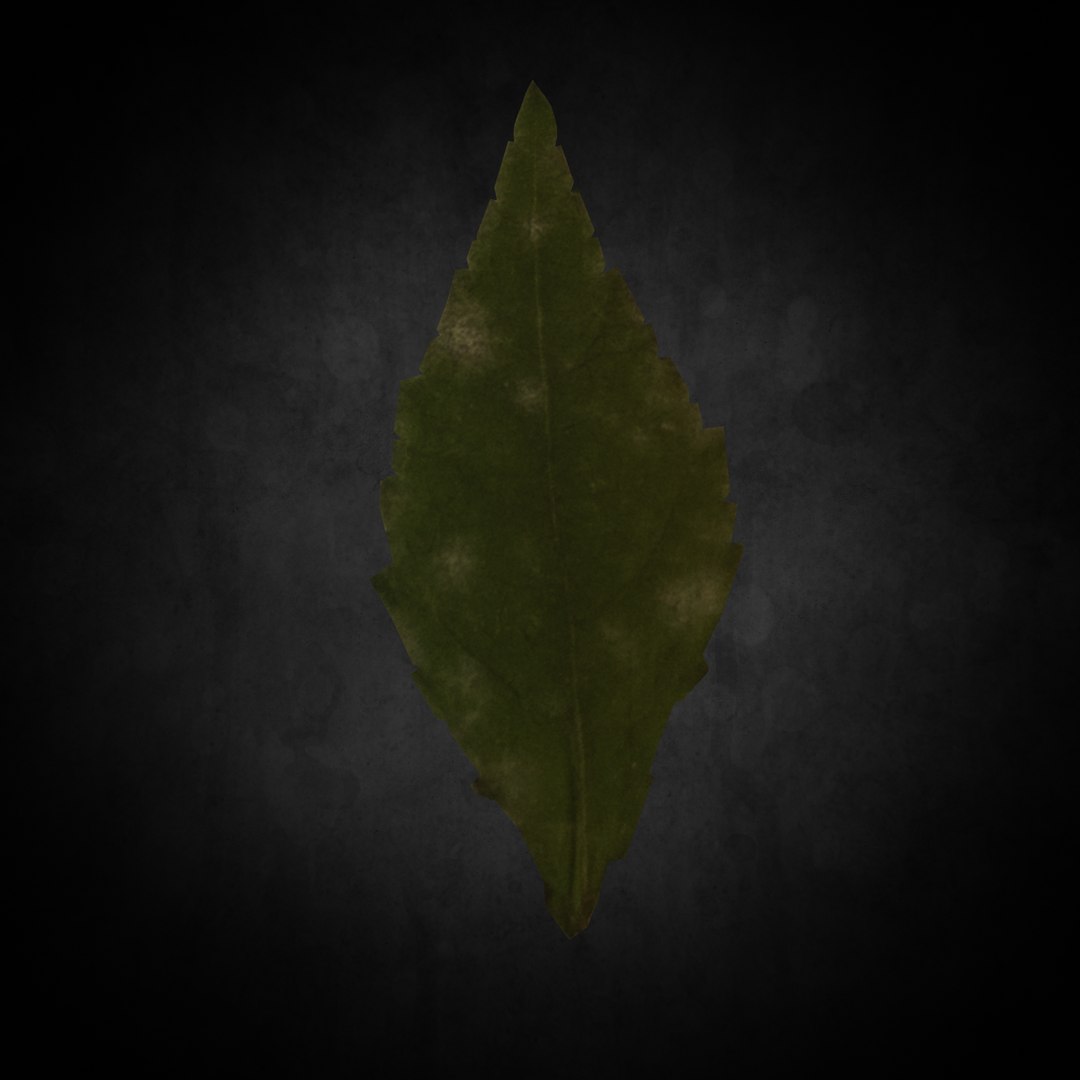 3D Leaf - TurboSquid 1653006