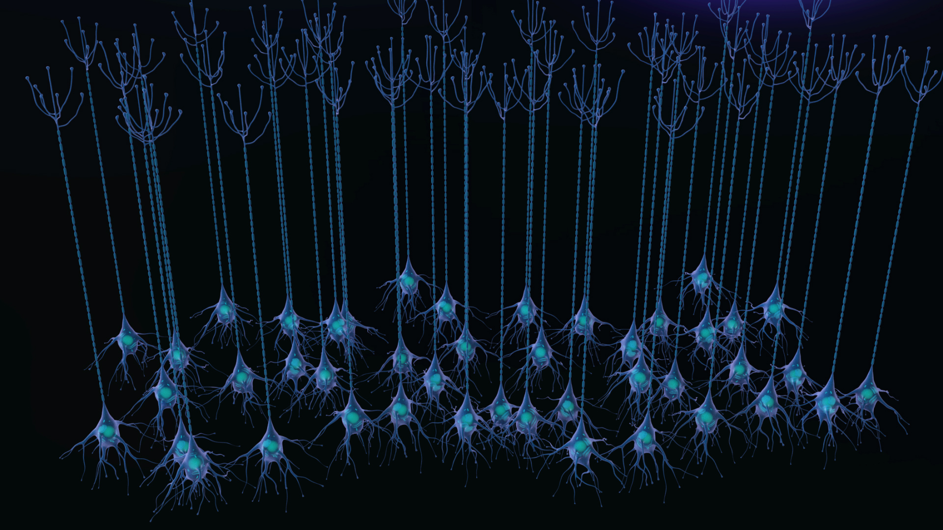 Pyramidal Cells Of Neurons 3D Model - TurboSquid 2010686