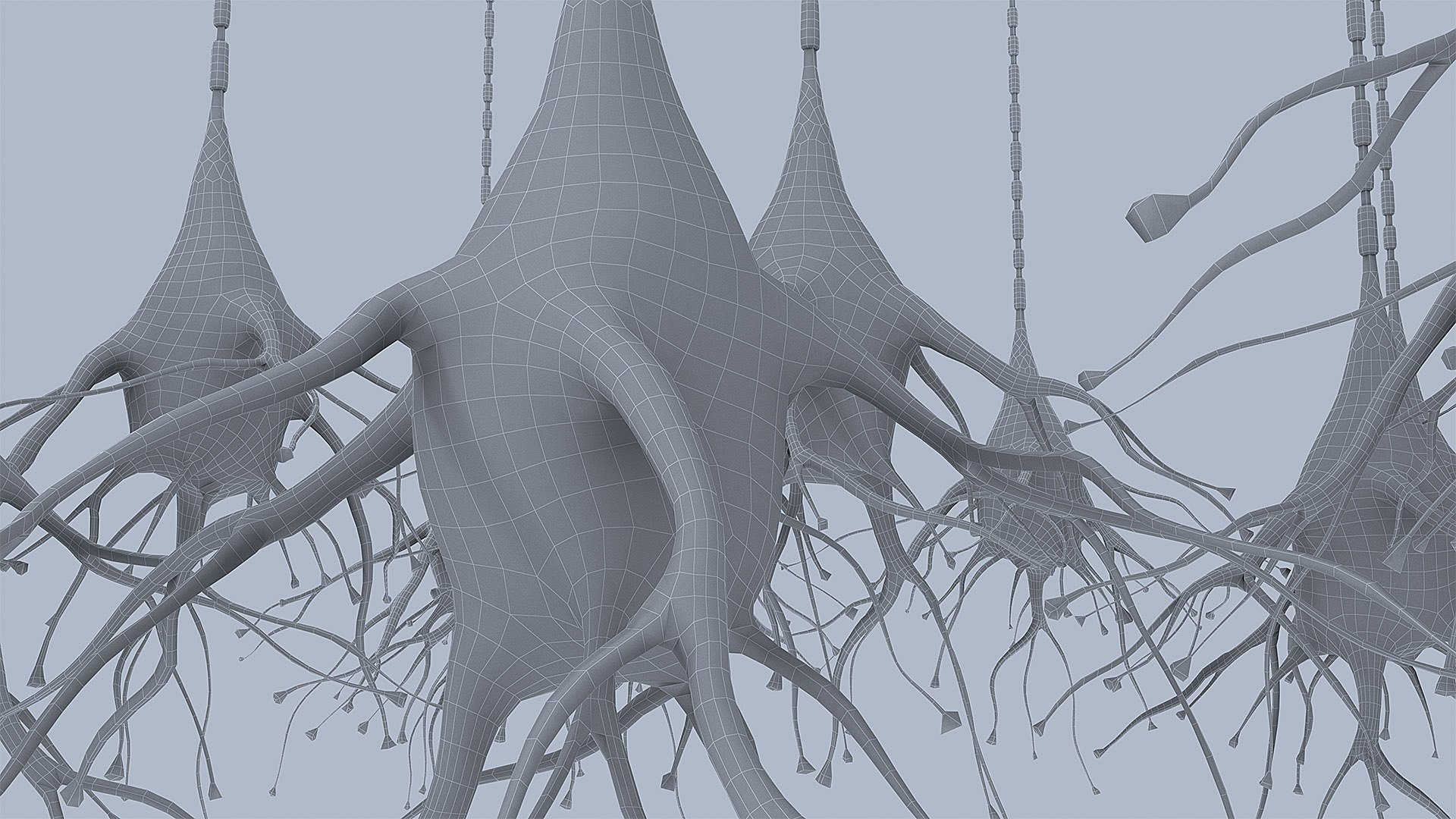 Pyramidal Cells Of Neurons 3D Model - TurboSquid 2010686