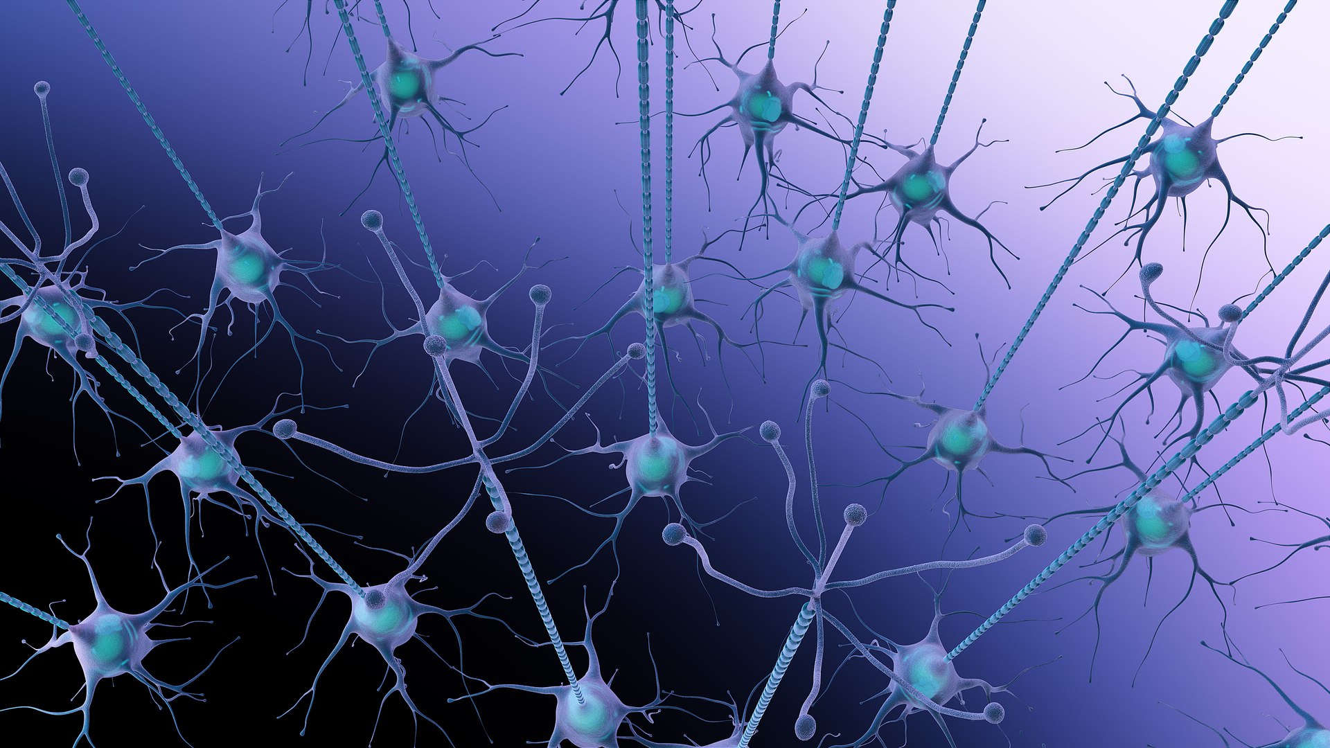 Pyramidal Cells Of Neurons 3D Model - TurboSquid 2010686