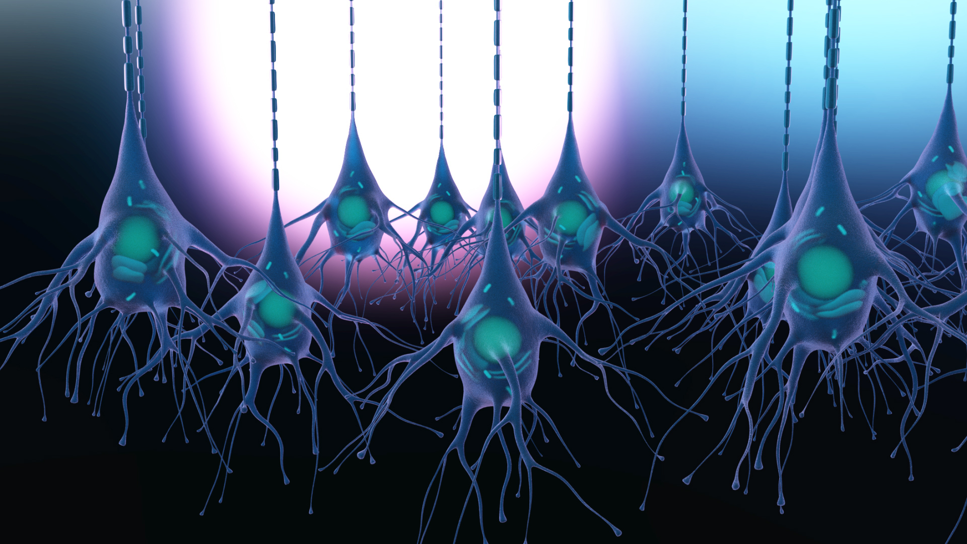 Pyramidal Cells Of Neurons 3D Model - TurboSquid 2010686