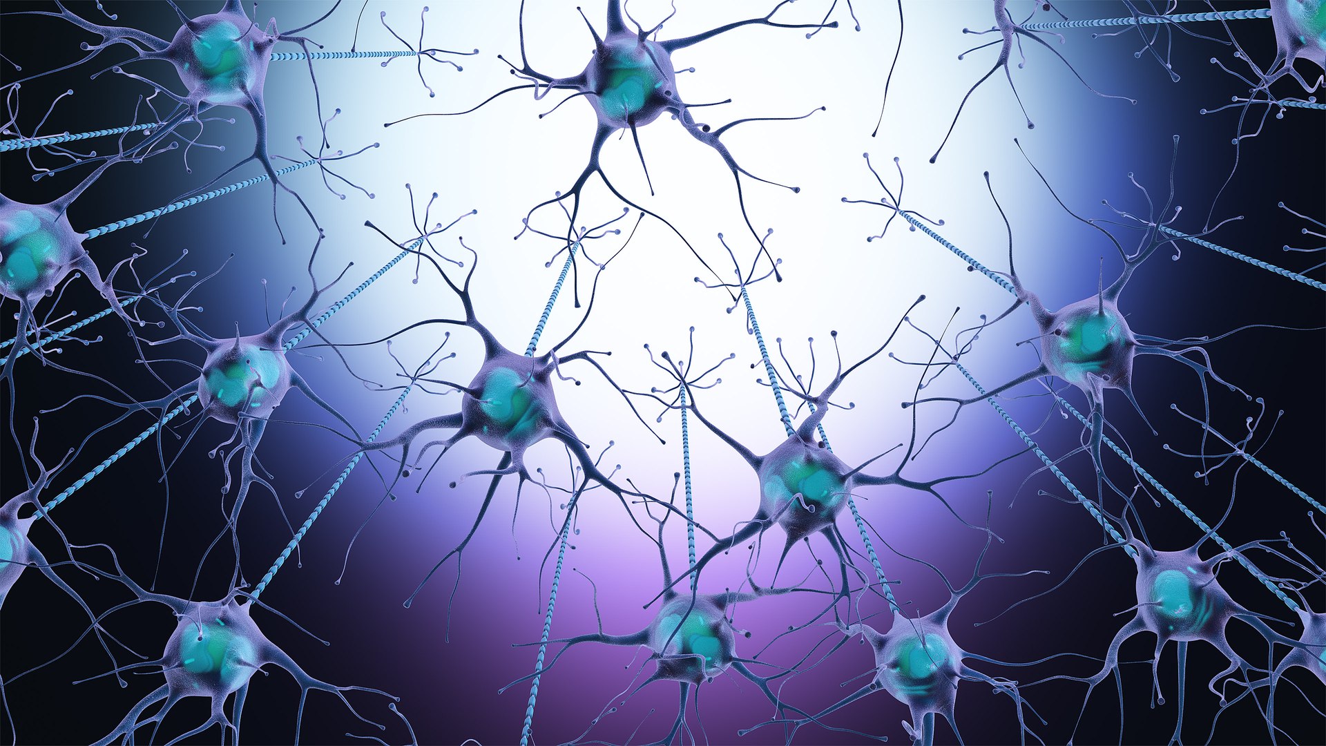 Pyramidal Cells Of Neurons 3D Model - TurboSquid 2010686