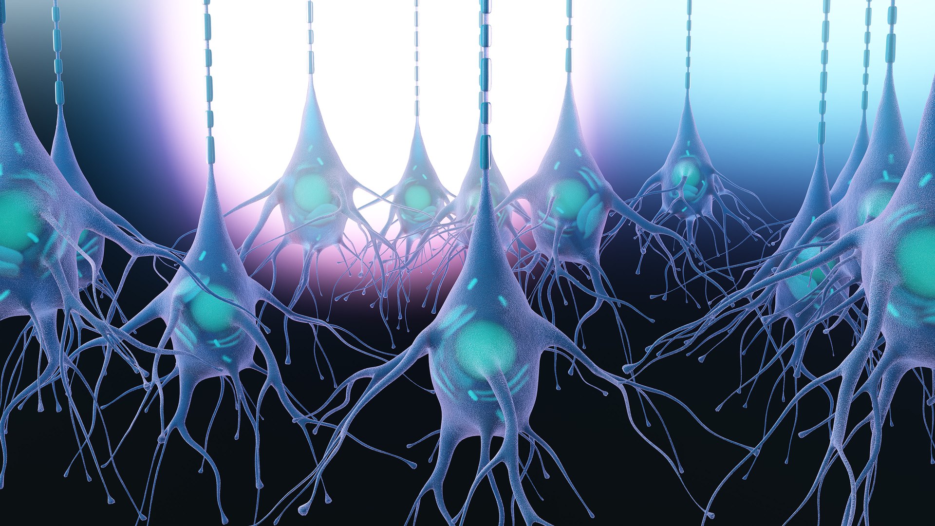 Pyramidal Cells Of Neurons 3D Model - TurboSquid 2010686