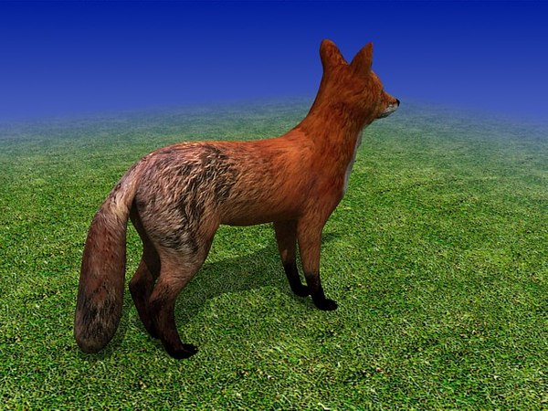 3d red fox