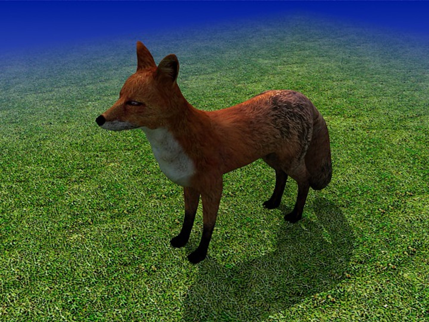 3d Red Fox