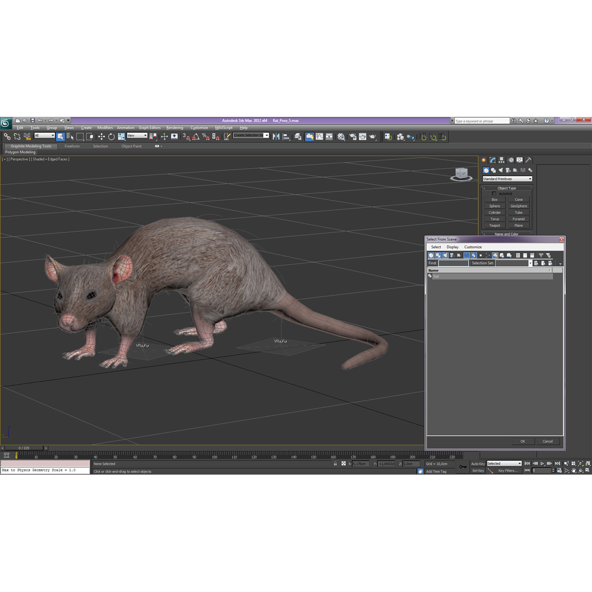 rat pose 5 3d model