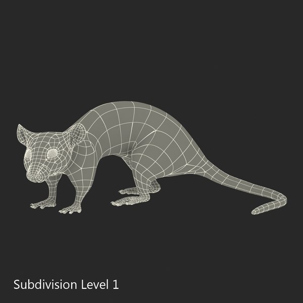rat pose 5 3d model