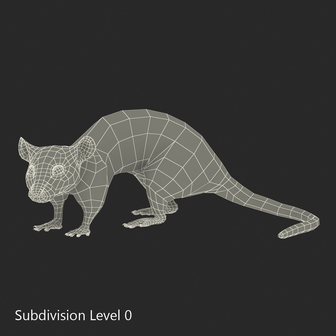 Rat Pose 5 3d Model