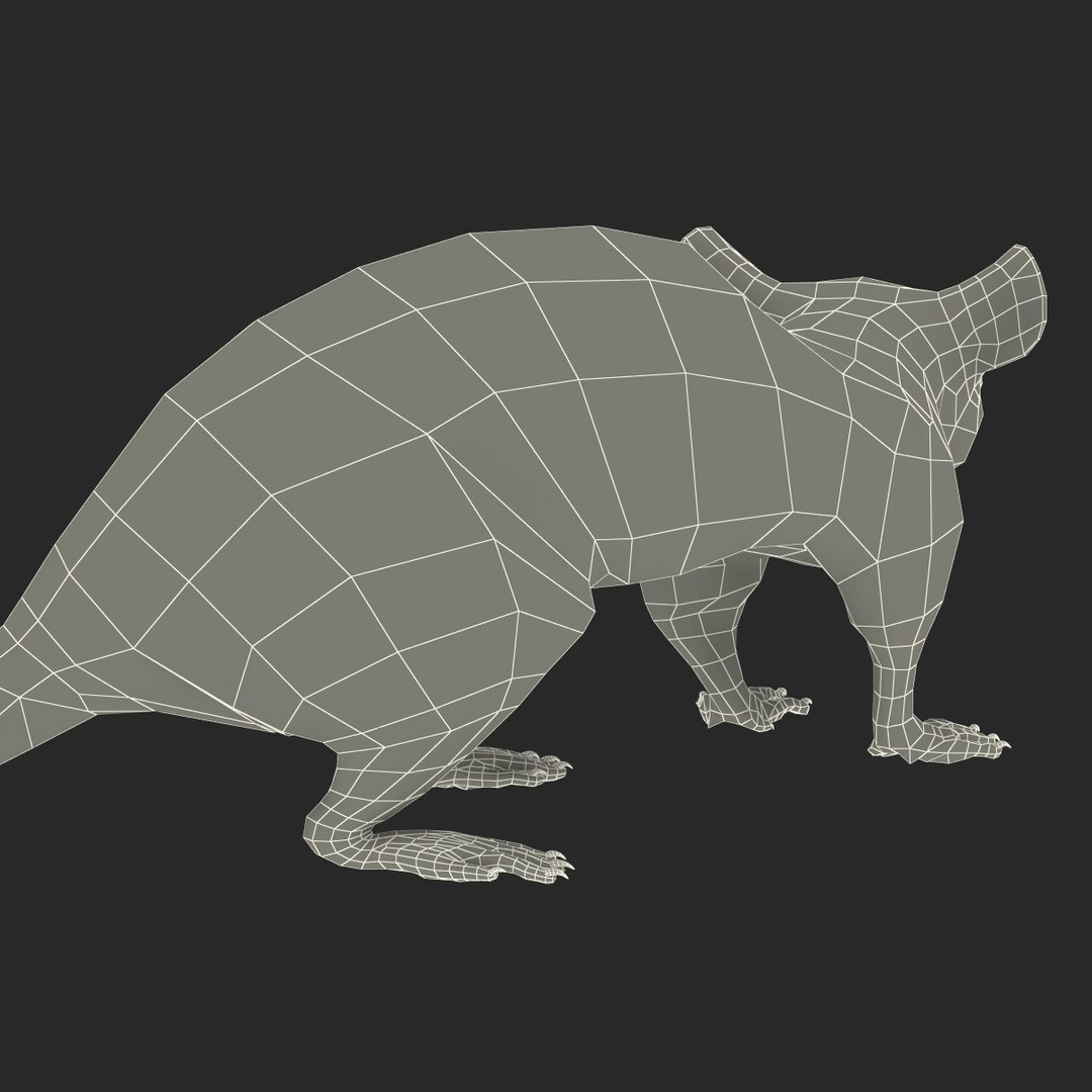 Rat Pose 5 3d Model