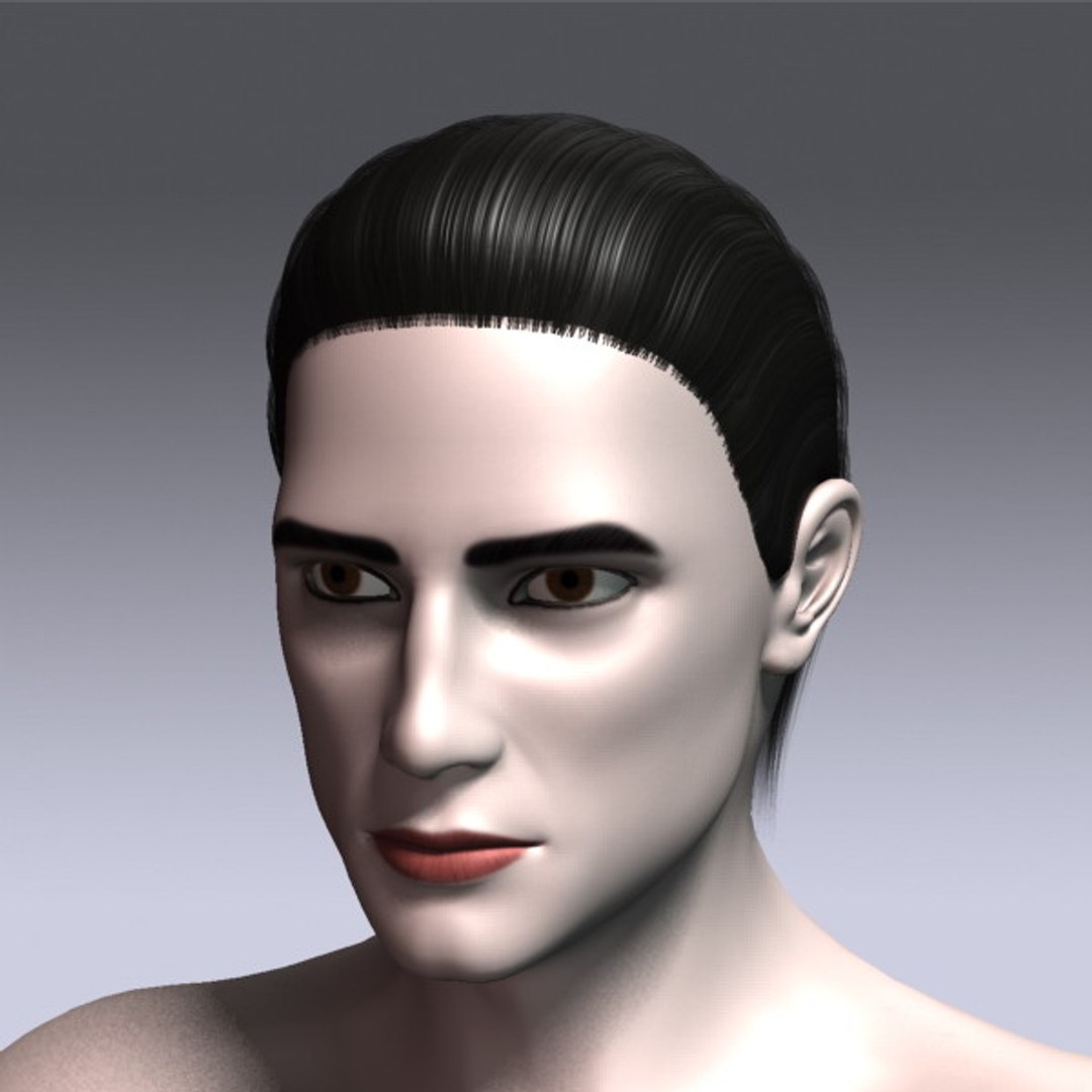 david hair 3d model