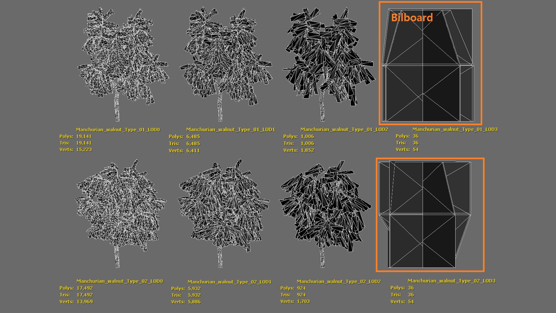 5 Realistic Korean Manchurian Walnut Tree Model 3D - TurboSquid 2325114