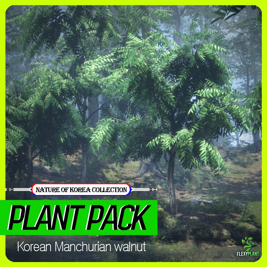 5 Realistic Korean Manchurian Walnut Tree Model 3D - TurboSquid 2325114