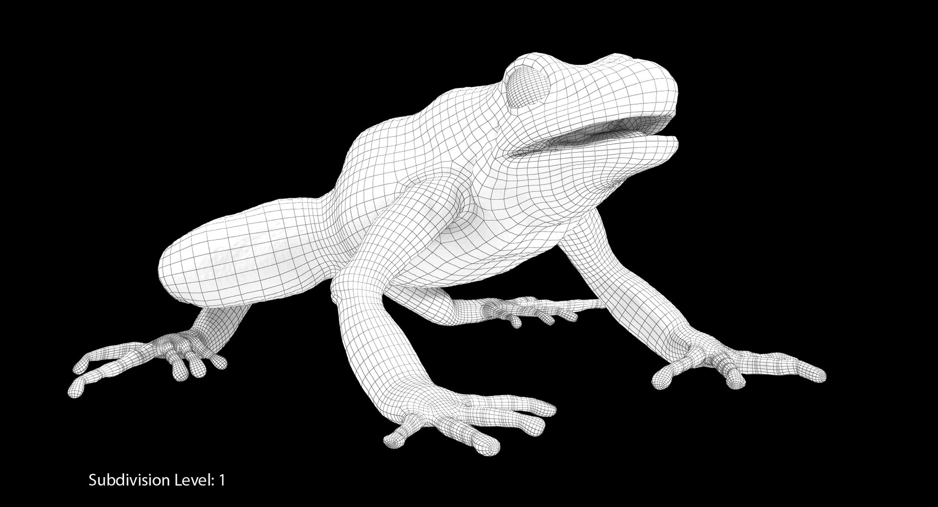 3d Model Poison Dart Frog Blue