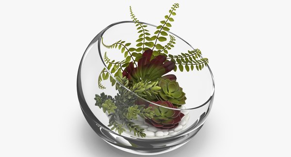 Table terrarium 3D model - TurboSquid 1311954