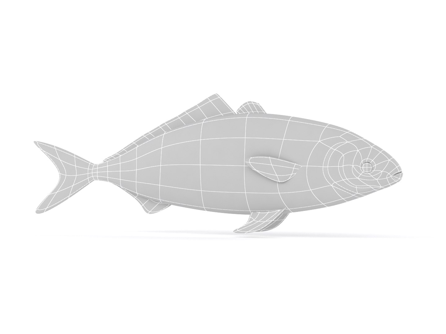 Tuna Fish 3D Model - TurboSquid 1545727