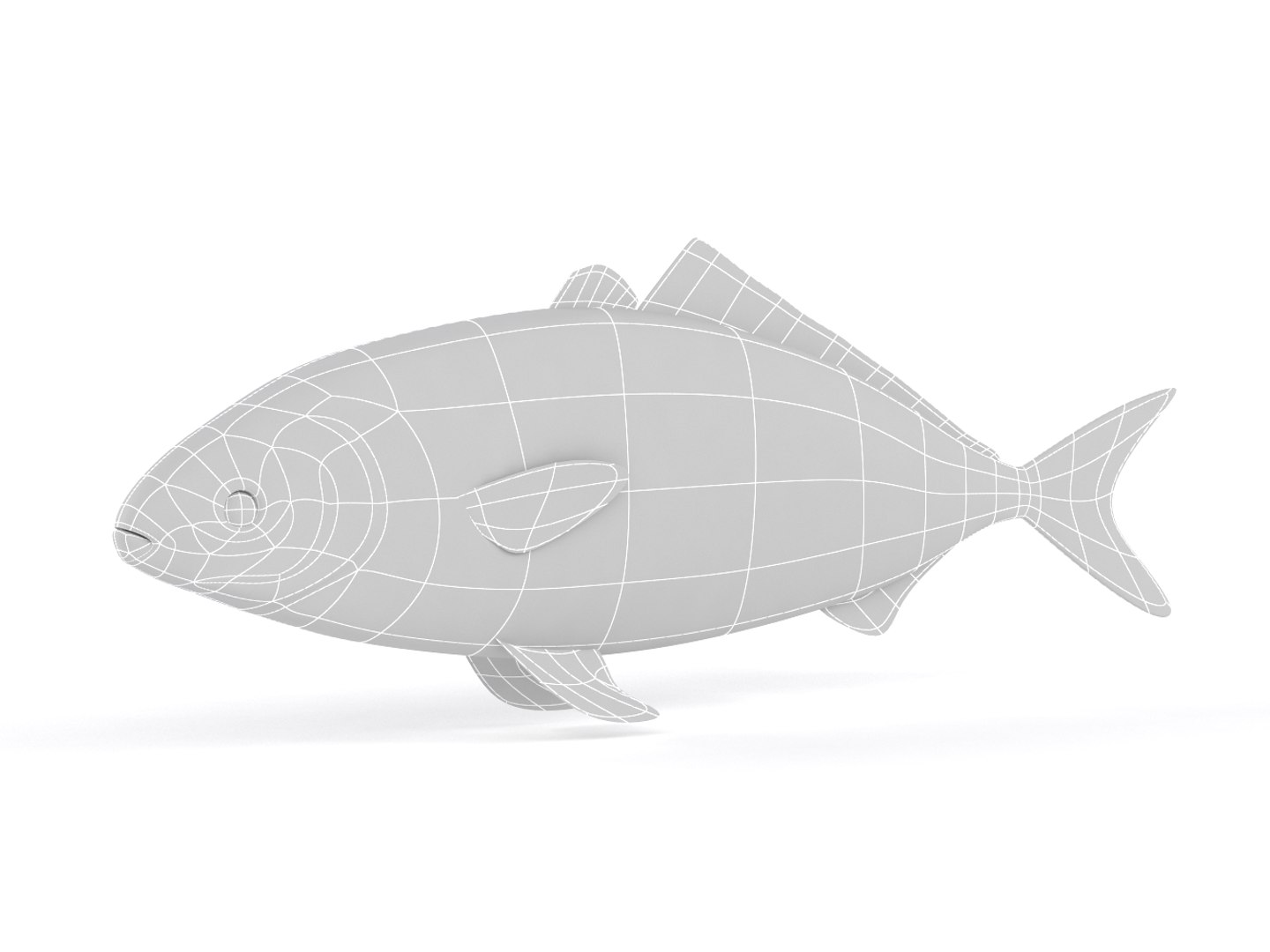 Tuna Fish 3D Model - TurboSquid 1545727
