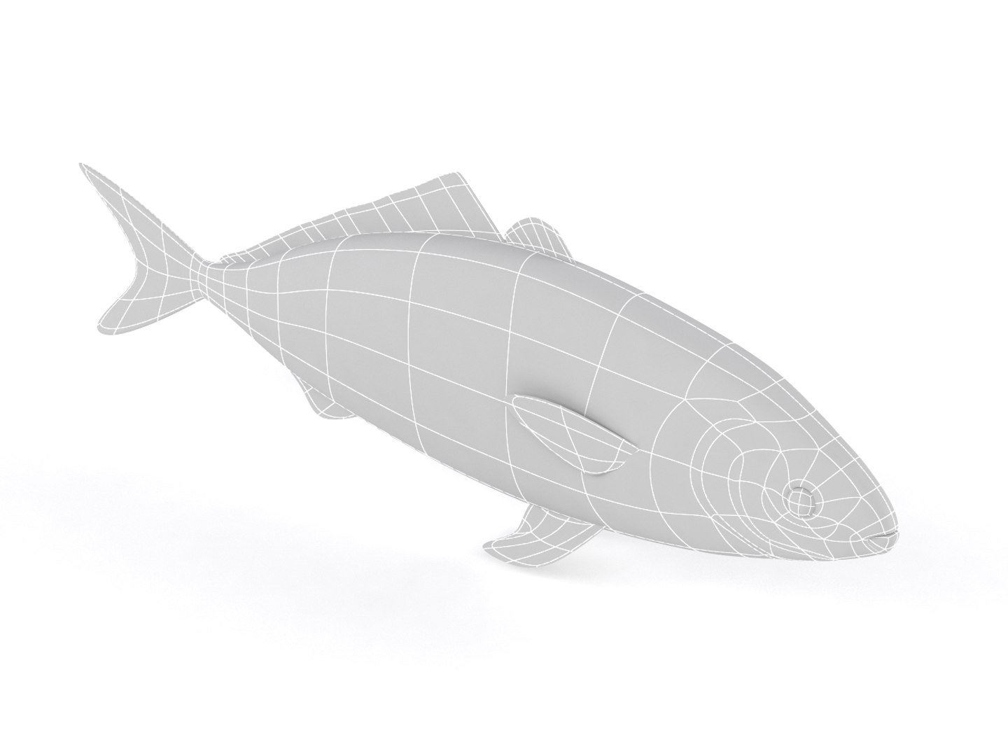 Tuna Fish 3D Model - TurboSquid 1545727