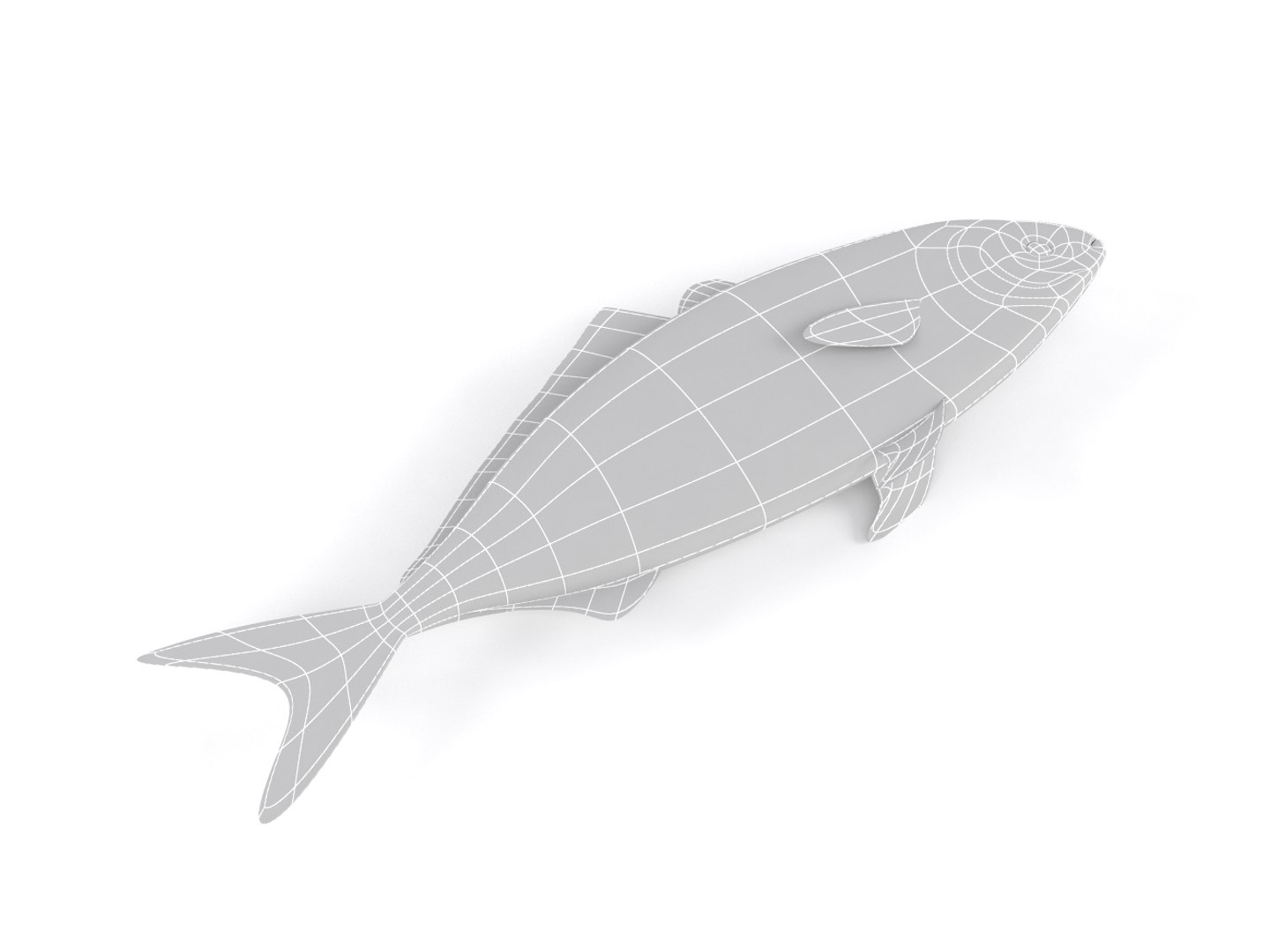Tuna Fish 3D Model - TurboSquid 1545727