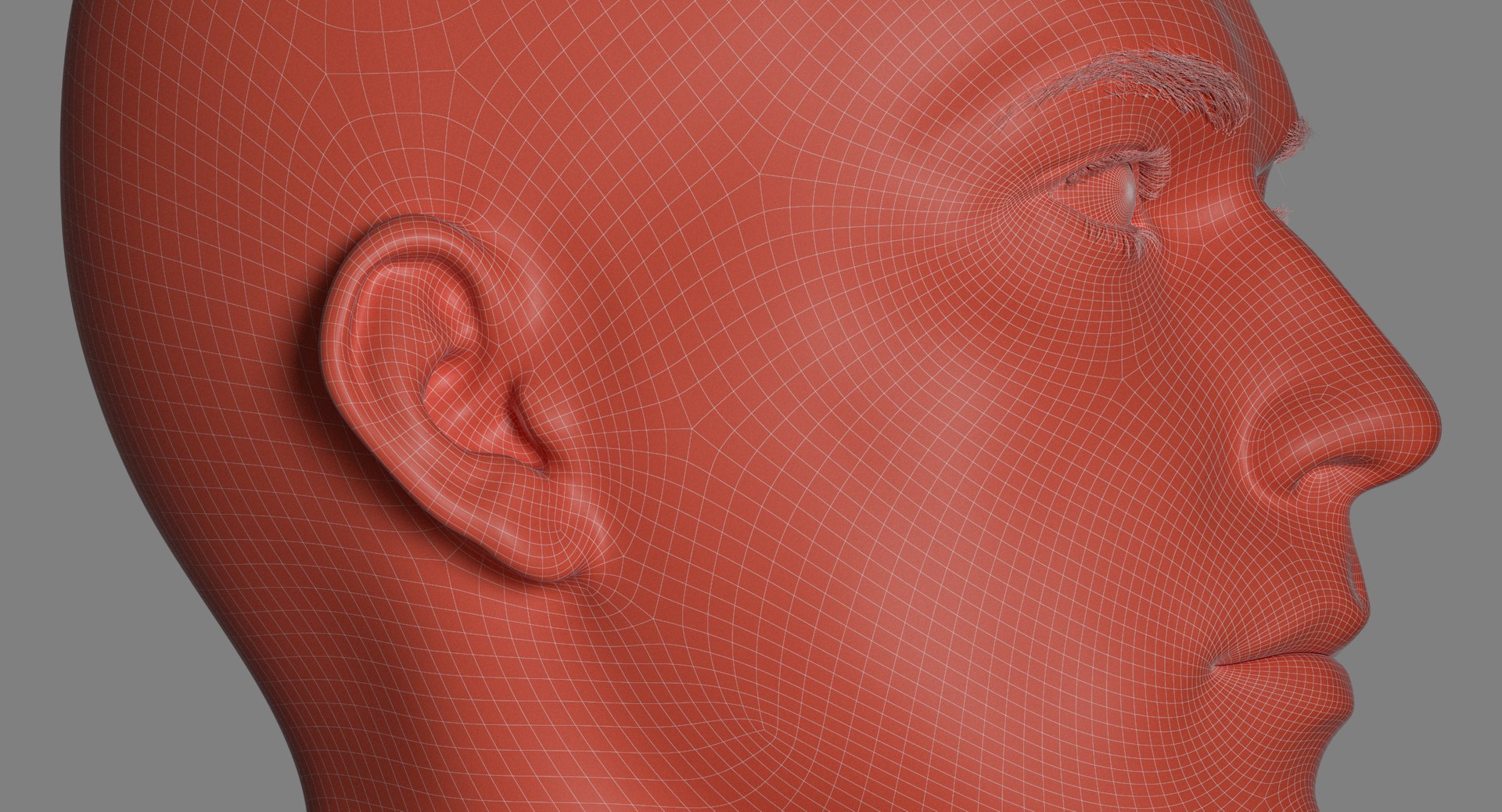 3D pbr marcus real human head - TurboSquid 1634516