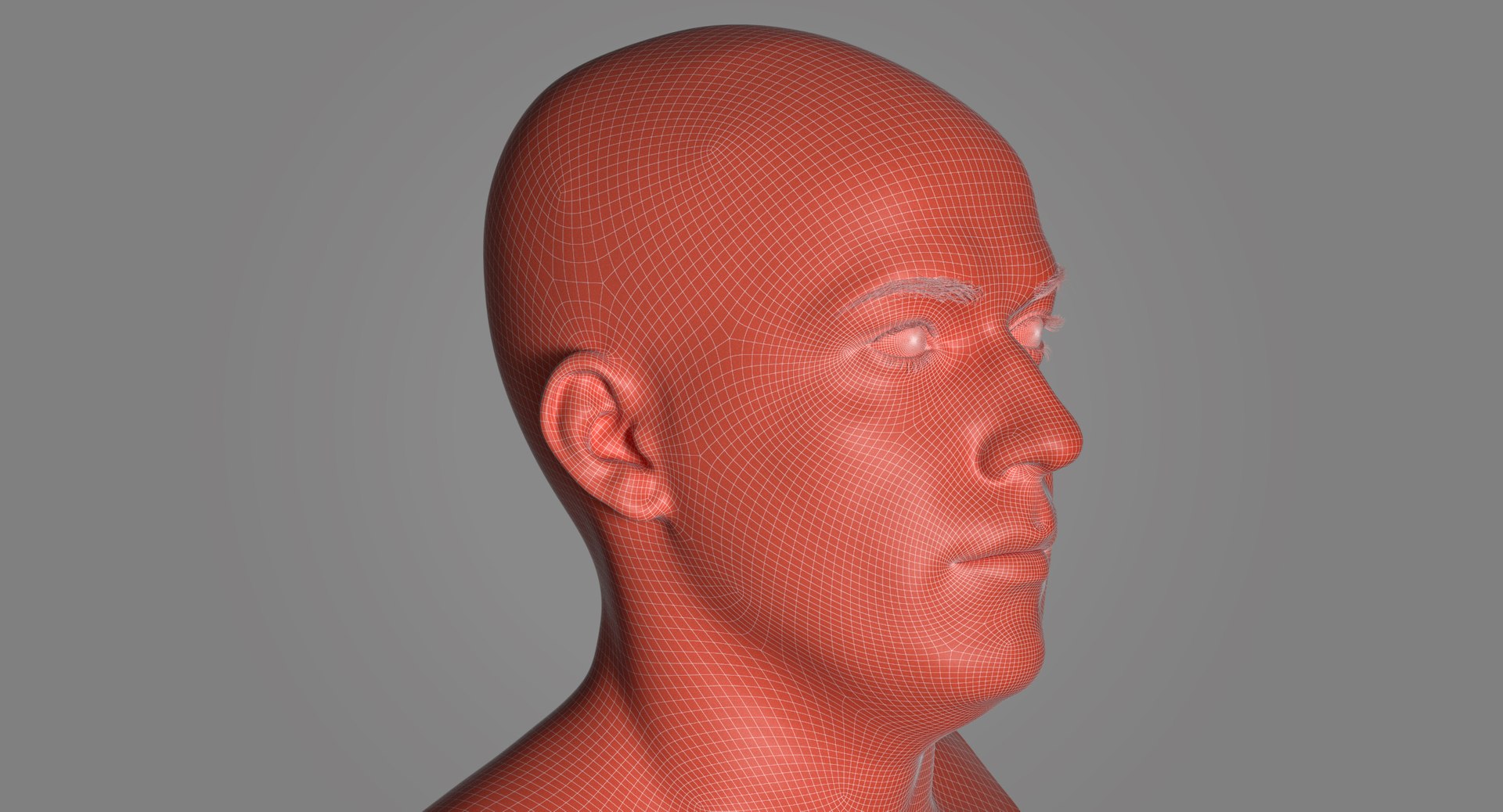 3D pbr marcus real human head - TurboSquid 1634516